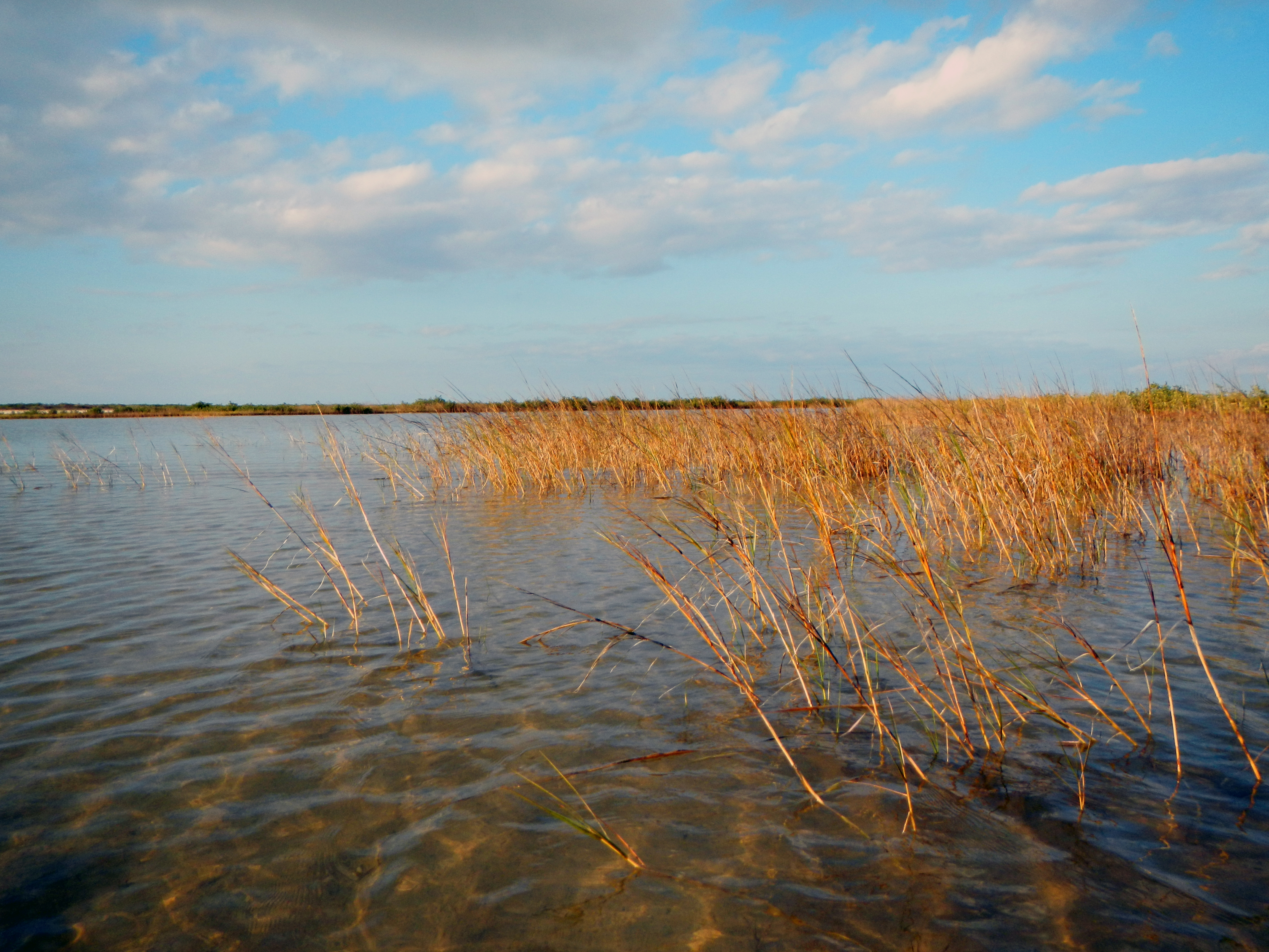 New Waters - Texas Coastal Bend - Kenjo Fly Fishing Charters