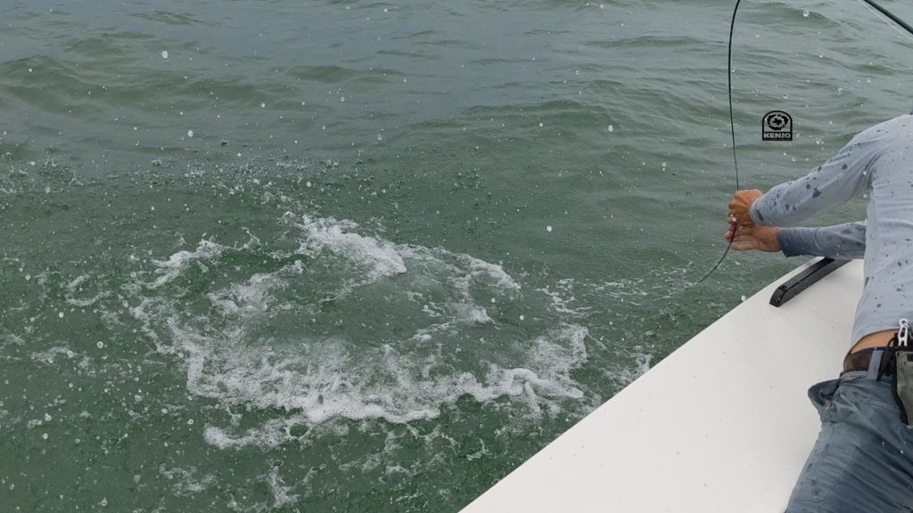 Pulling on Hard Fish - Kenjo Fly Fishing Charters