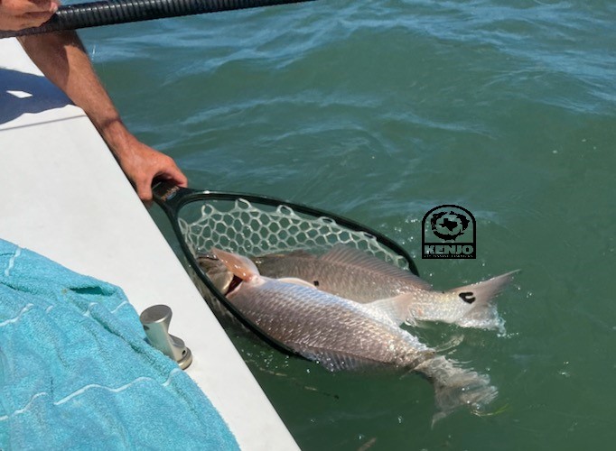 Texas Redfish Adventures - Kenjo Fly Fishing Charters